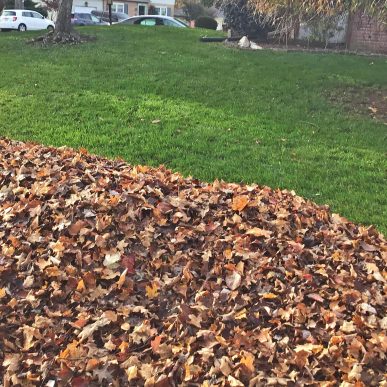 St Charles Leaf Cleanup Services - Landscape Services - Natures Touch ...